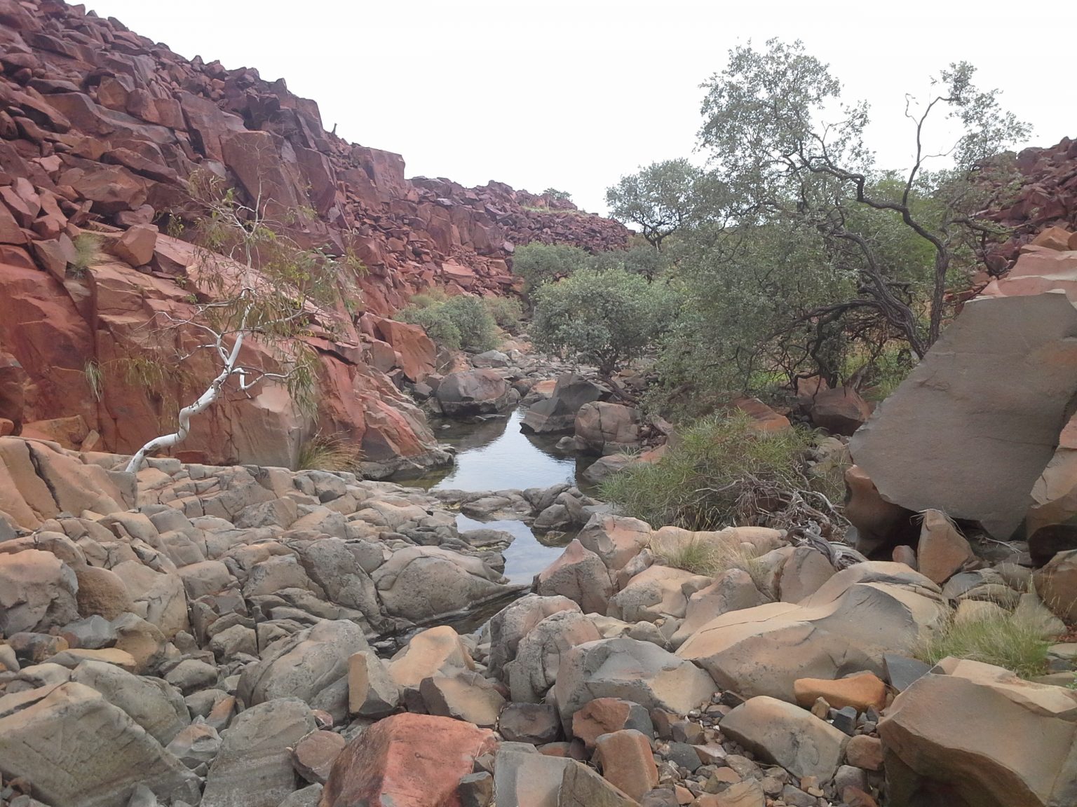 World Heritage listing of Burrup Peninsula rock art edges closer ...