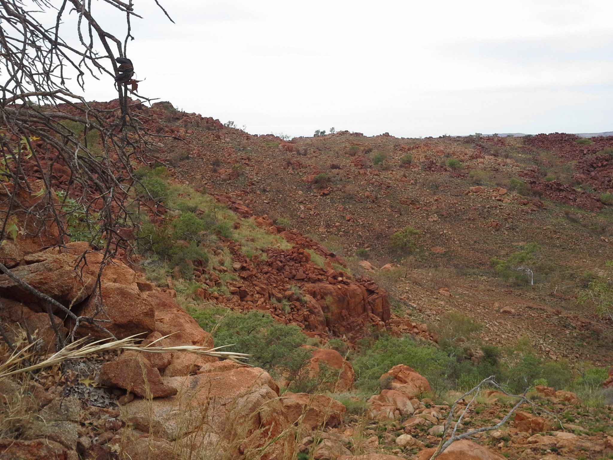 VIDEO FAQs - We all come together for Country - Murujuga Aboriginal ...